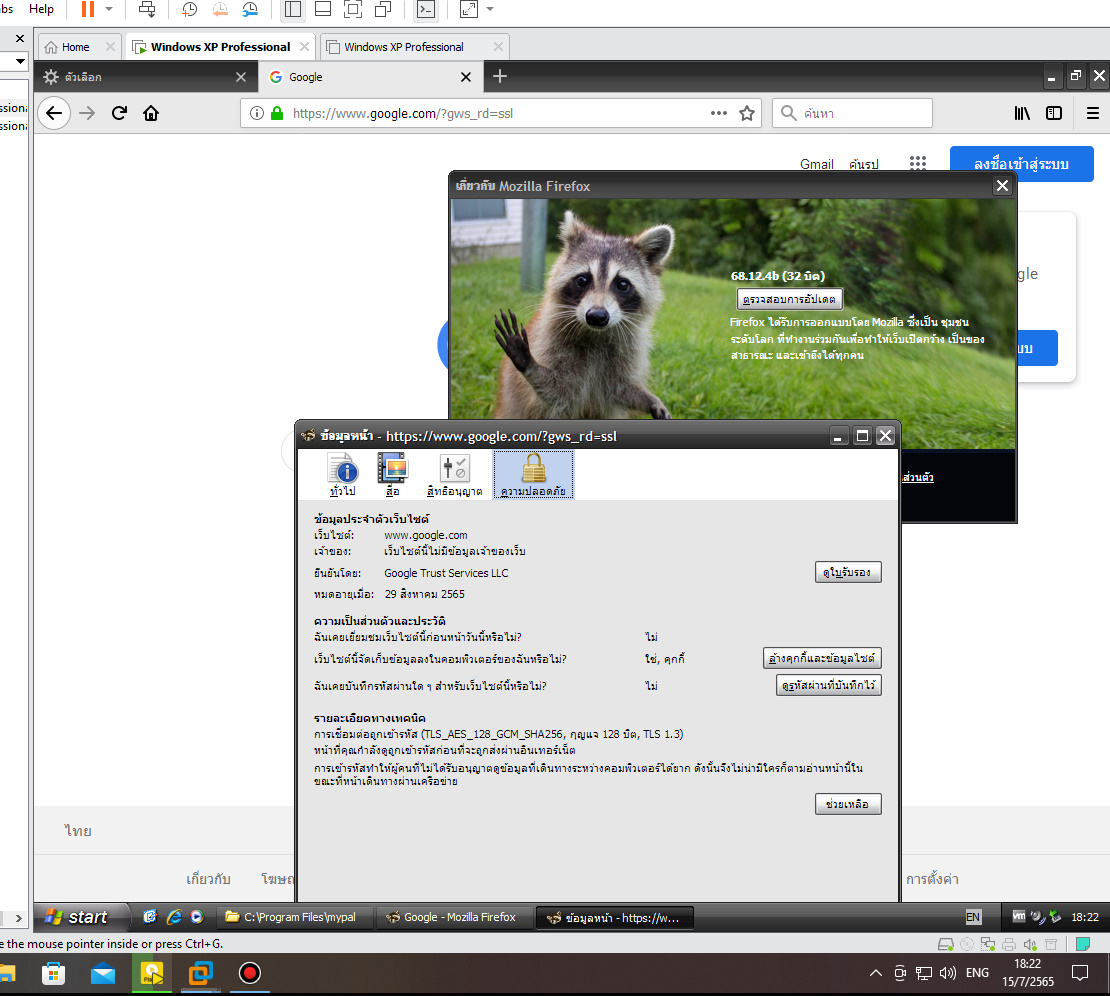 Mypal68 add a language that is not officially supported? · Issue #119 · Feodor2/Mypal68 · GitHub