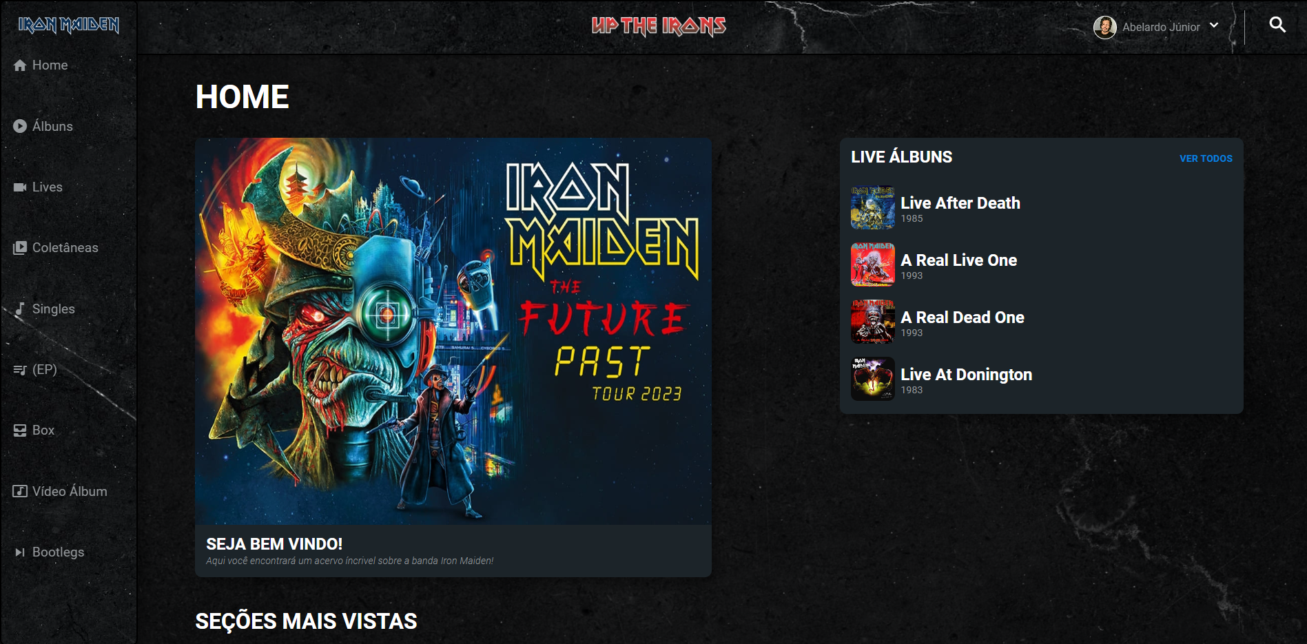 GitHub - abelardojr0/Up-The-Irons: Up The Irons