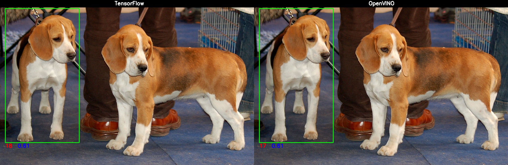 [Bug] Openvino model converted from TF 2 EfficientDet outputs wrong class index of detection ...