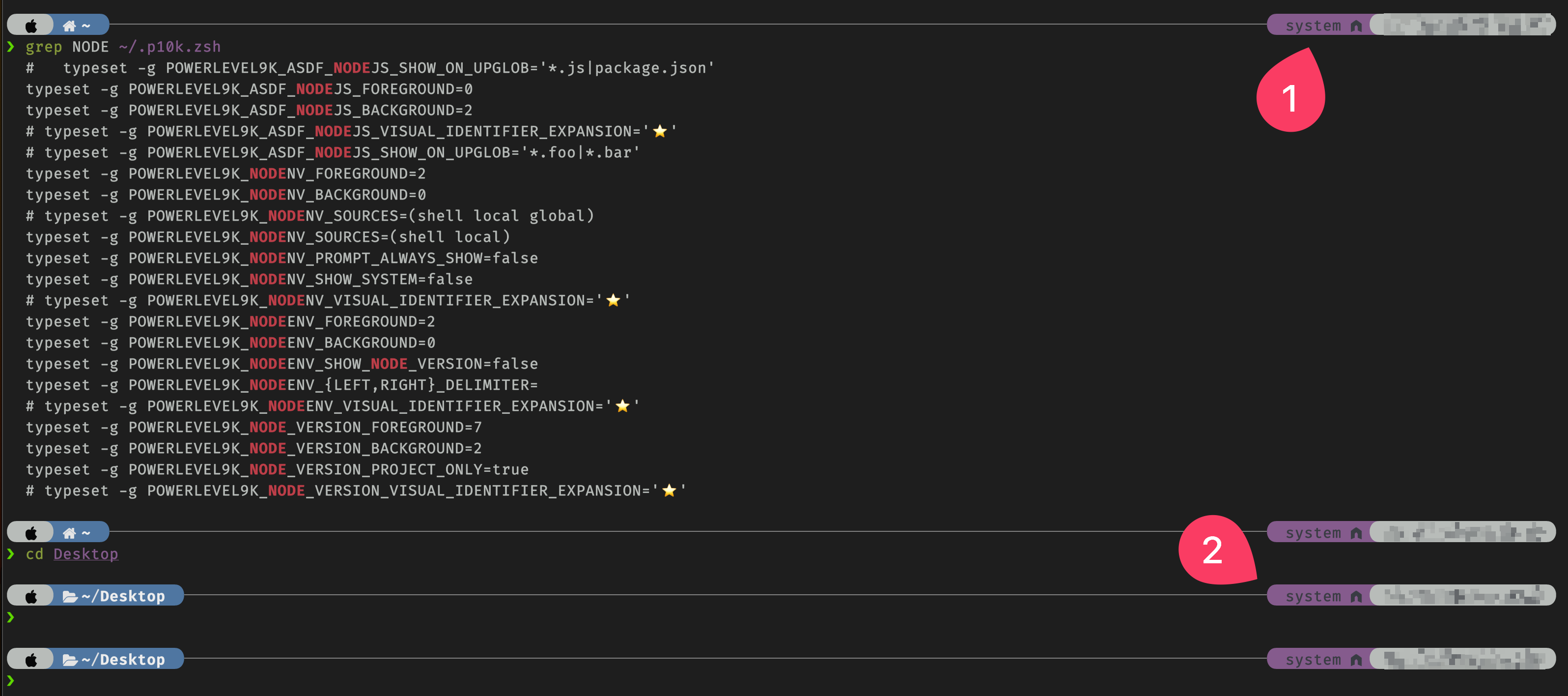 Cannot Turn Off Node js system Version In The Right Prompt Issue