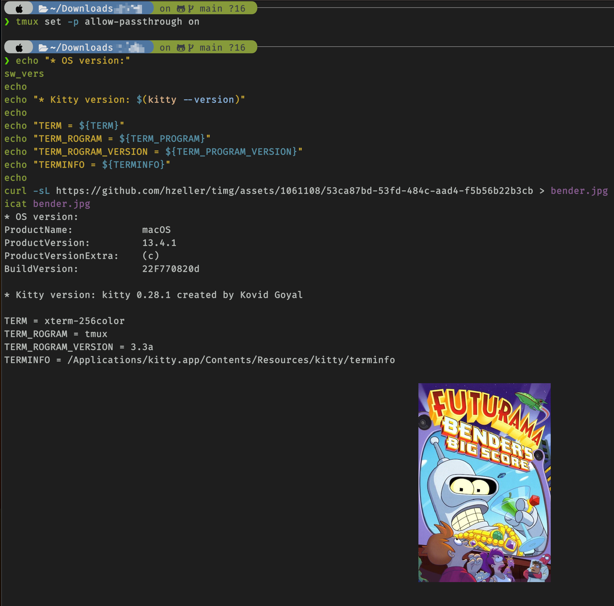 Inconsistent `icat` Behaviour Between Kitty `v0281` And `v029` · Issue 6474 · Kovidgoyal