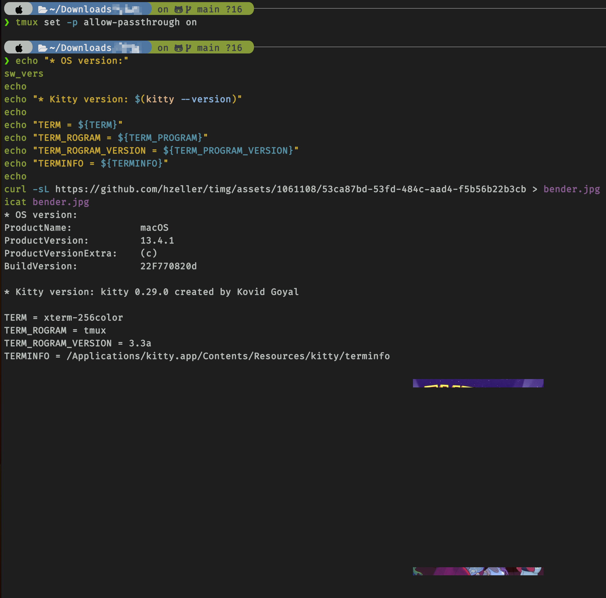 Inconsistent `icat` behaviour between Kitty `v0.28.1` and `v0.29 ...
