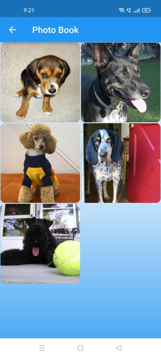 GitHub - DarshanTecxlabs/Find-My-Dog