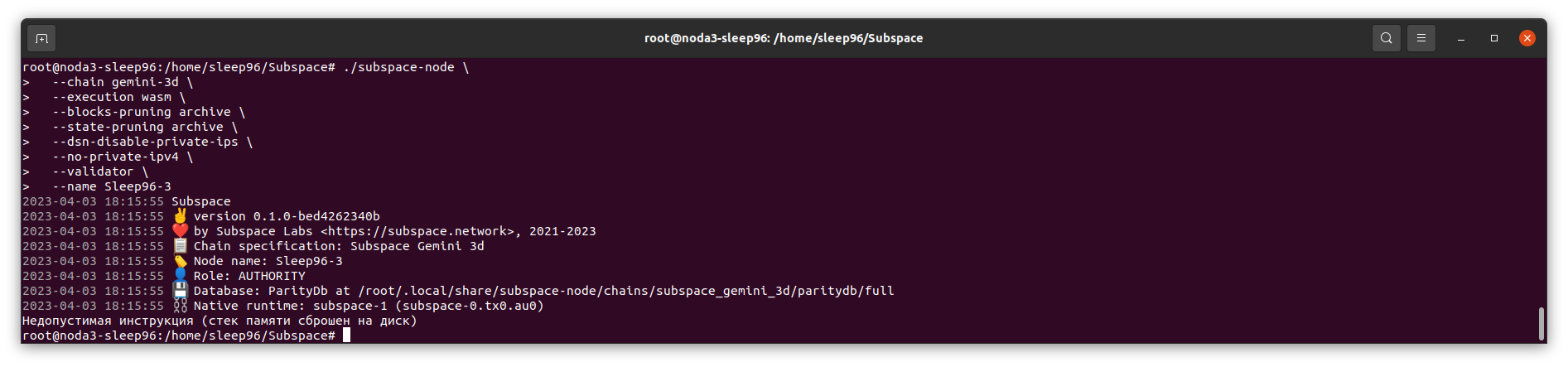 invalid instruction (memory stack flushed to disk) · Issue #1354 · autonomys/subspace · GitHub