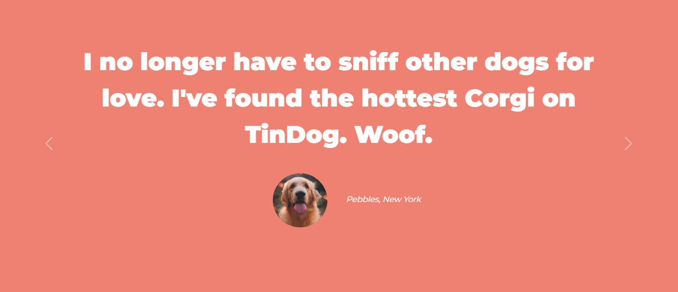 GitHub - Nika-Chinchaladze/TinDog_Website GitHub - Nika-Chinchaladze/TinDog_Website