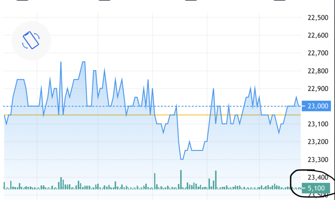 Fix postion bottom price label addHistogramSeries · Issue #1221 ...