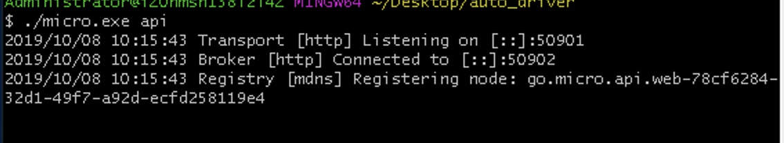 How to run mirco api in the Windows · Issue #826 · micro/go-micro · GitHub
