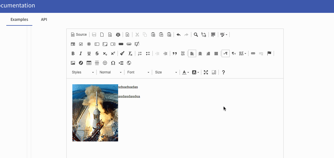 Image gets into bullets when trying to add bullets next to the left ...