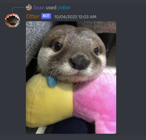 GitHub - ArhanCodes/otter: A discord bot that sends pictures of otters.