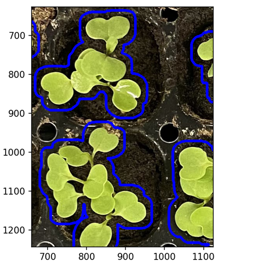 Detect 2 objects close together as one without ROI · Issue #988 · danforthcenter/plantcv · GitHub