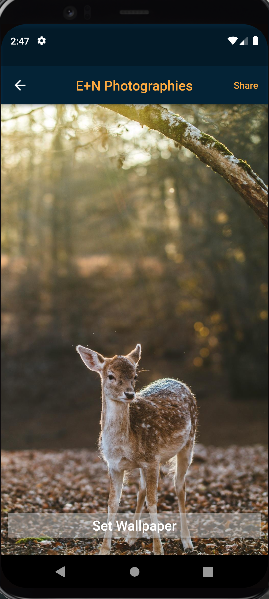 GitHub - ismailhossainmaruf/Wallpaper-Manager-App-Design-With-API ...