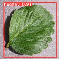 GitHub - sahilfaizal01/Strawberry_Leaf_Disease_Detection-YoloV5: An ...