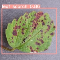 GitHub - sahilfaizal01/Strawberry_Leaf_Disease_Detection-YoloV5: An ...