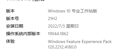 🐛[BUG] 在windows 10专业工作站版本中无法启动 · Issue #1716 · BeyondDimension ...