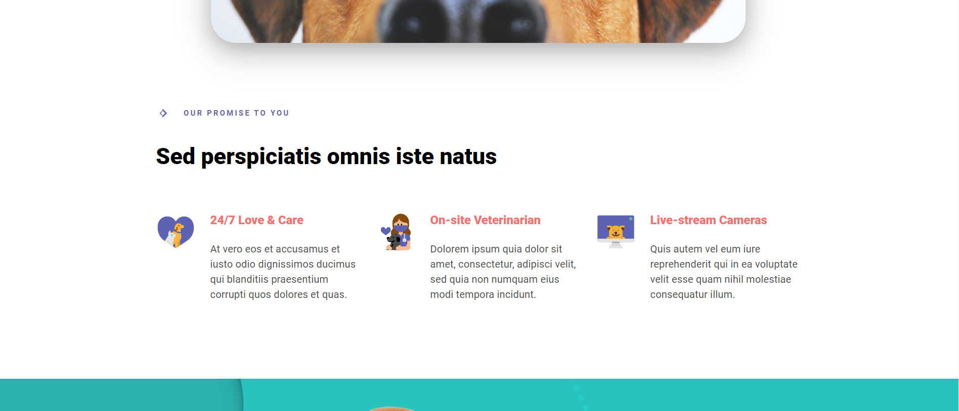 GitHub - Melnikova26/doggy