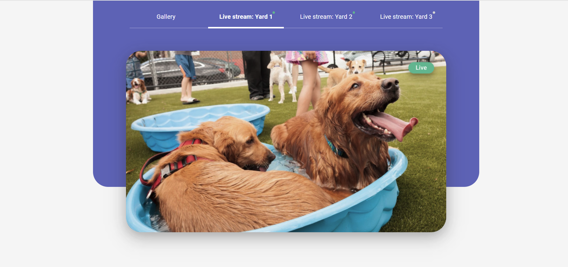 GitHub - Melnikova26/doggy