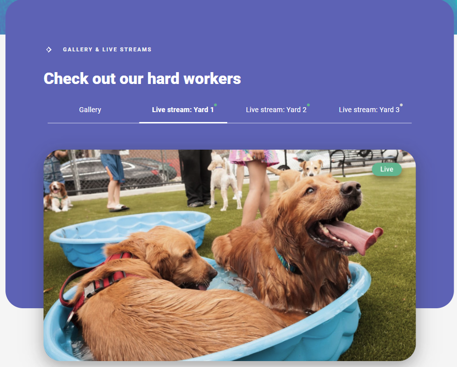 GitHub - Melnikova26/doggy