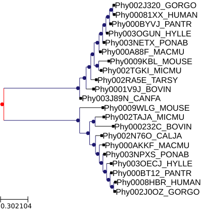 Problem with get_age_balanced_outgroup function · Issue #314 ...