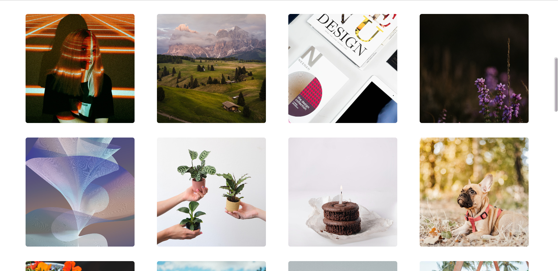 GitHub - soniDeepanshi/image-search: A simple Free image search web app using html, css ...