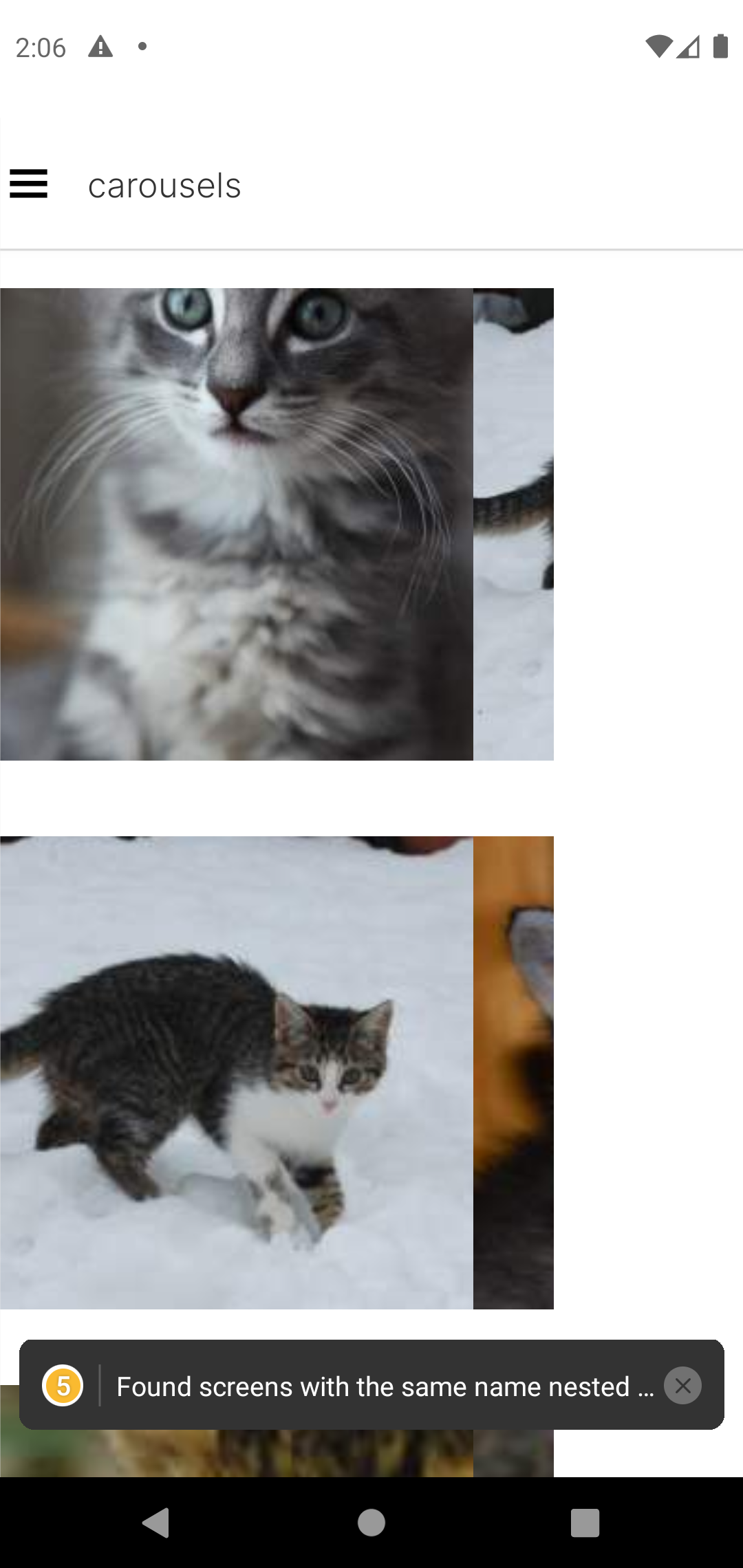 Android Ios Macos Web Carousels Ui Issue On Flexncreate Template Starter · Issue 126