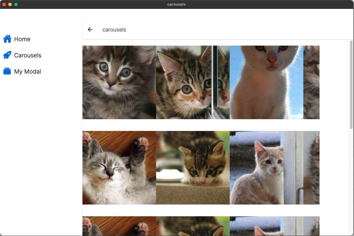 Android Ios Macos Web Carousels Ui Issue On Flexncreate Template Starter · Issue 126 