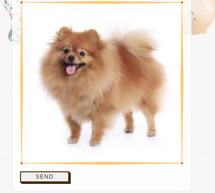 GitHub - Nosrey/Pi-dogs: mi proyecto individual para HENRY sobre dogs