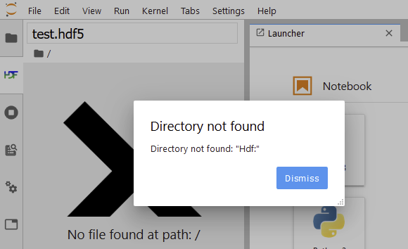 File not found for correct path · Issue #21 · jupyterlab/jupyterlab-hdf5 · GitHub