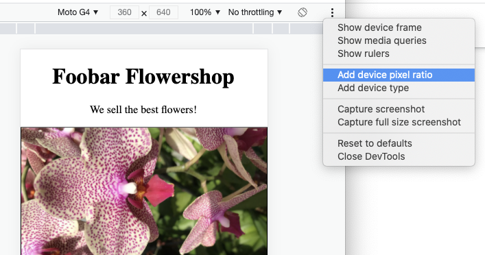 Responsive images not loaded correctly · Issue #5756 · GoogleChrome/web.dev · GitHub
