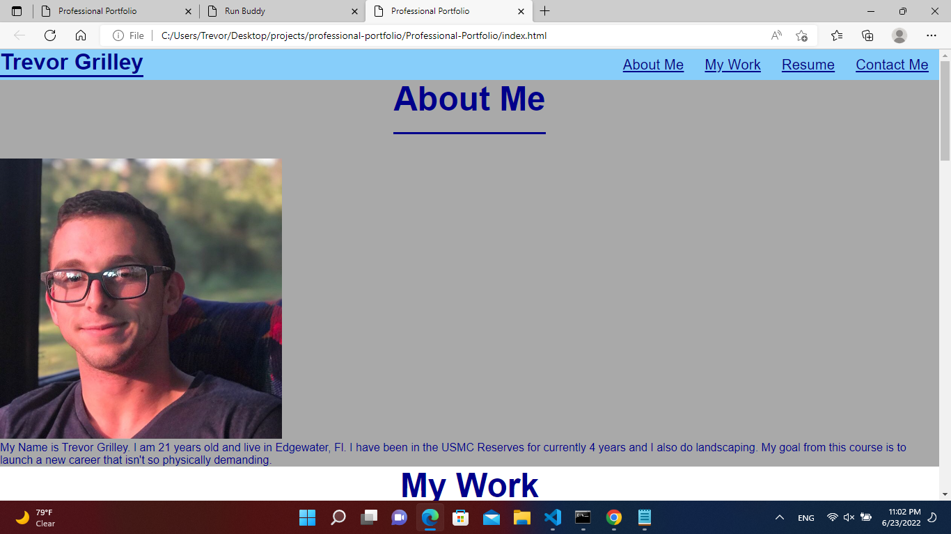 GitHub - TrevorGrilley/Professional-Portfolio