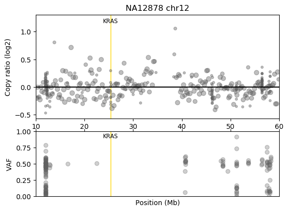 wrong plot when using scatter command to plot chromosome sub-region · Issue #566 · etal/cnvkit ...