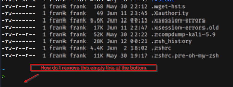 Empty Line At The Bottom · Issue #1896 · romkatv/powerlevel10k · GitHub