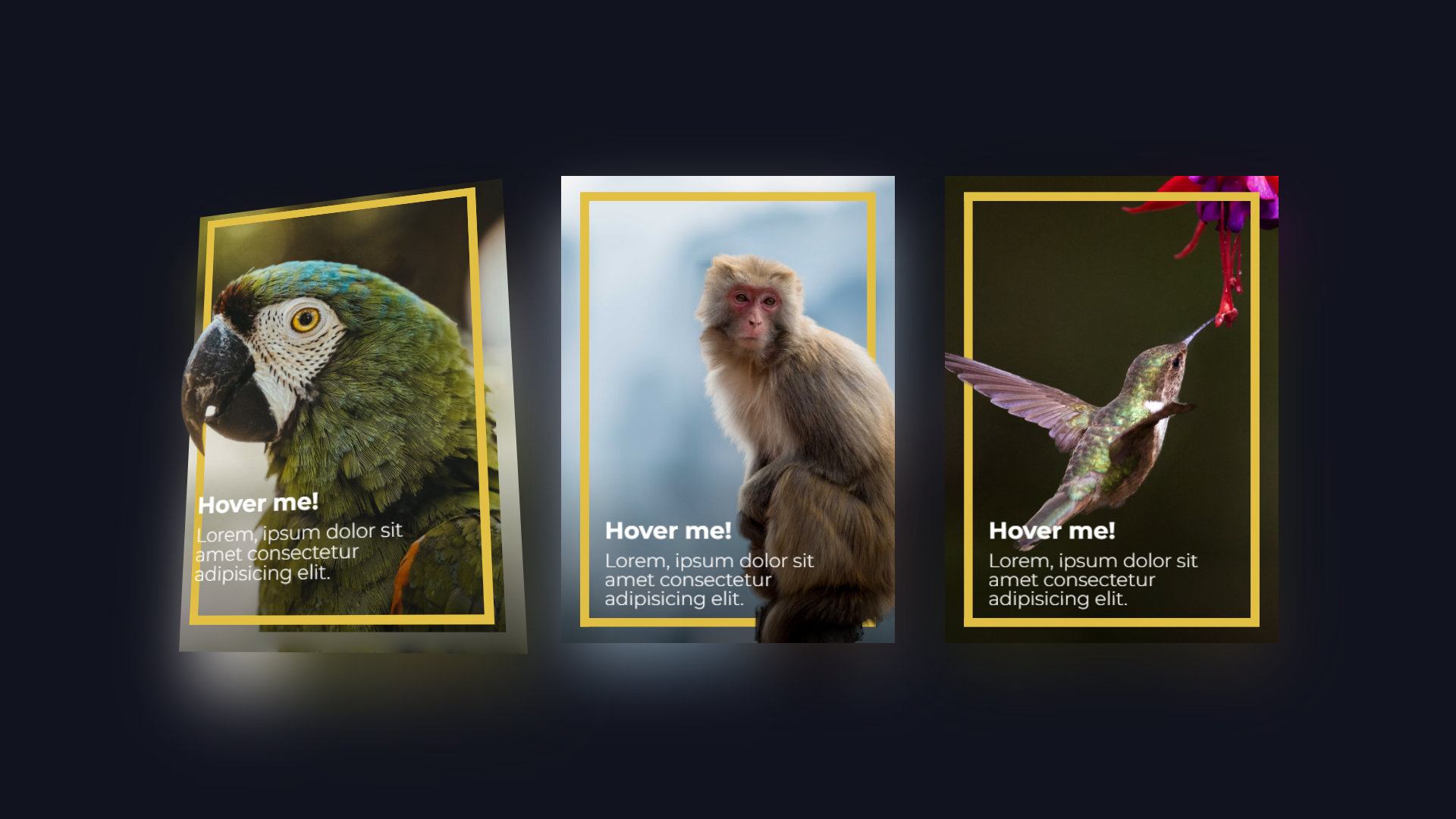 GitHub - Harikrishnasinh/3D-PROFILE-CARD