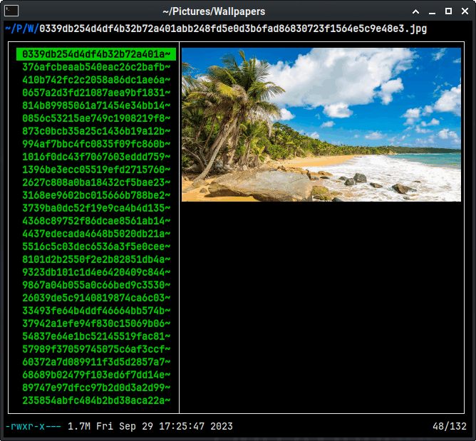 Horizontal resizing does not flush cached sixels · Issue #1452 · gokcehan/lf · GitHub