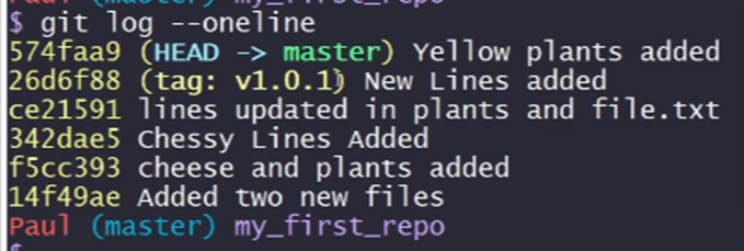 GitHub - MihaliRahael/Github_Essentials