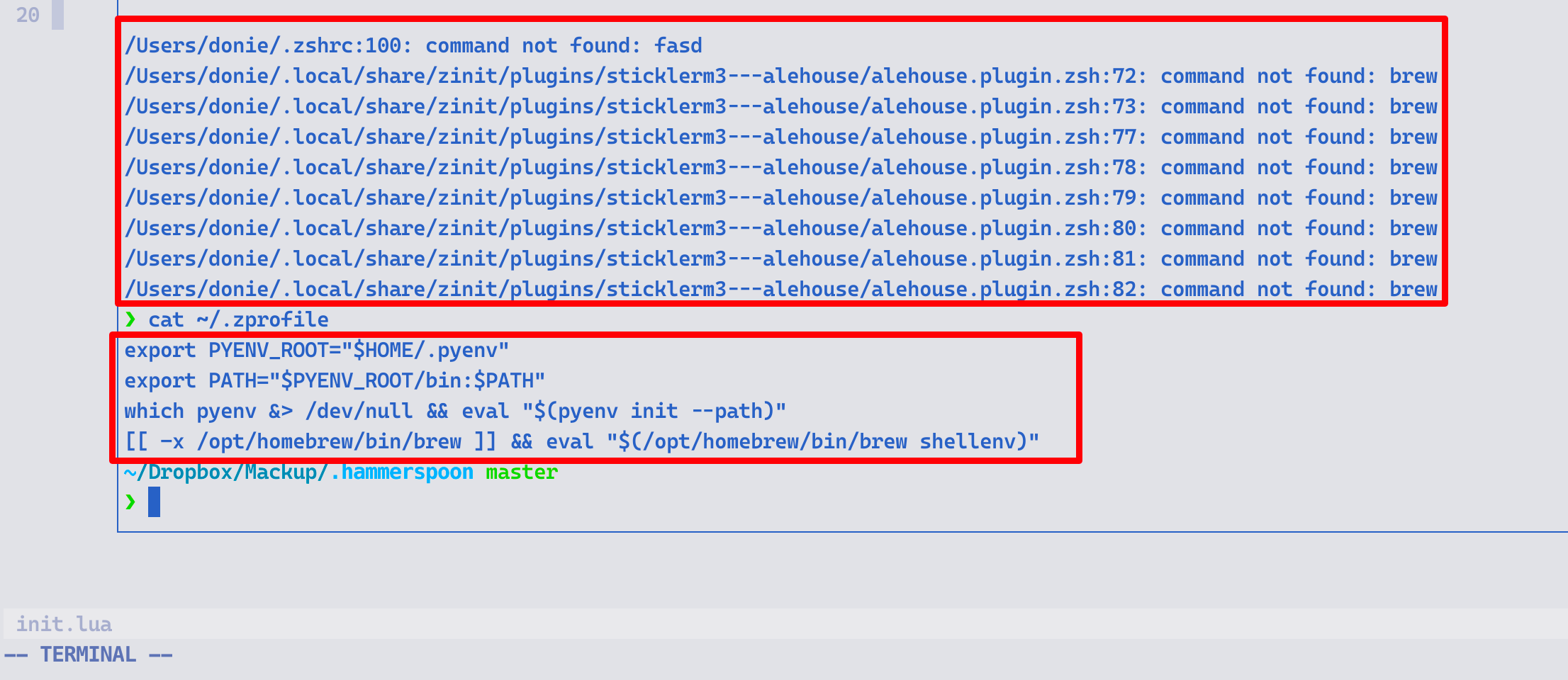 .zprofile is not sourced when a new kitty window is opened through launch-actions.conf · Issue ...