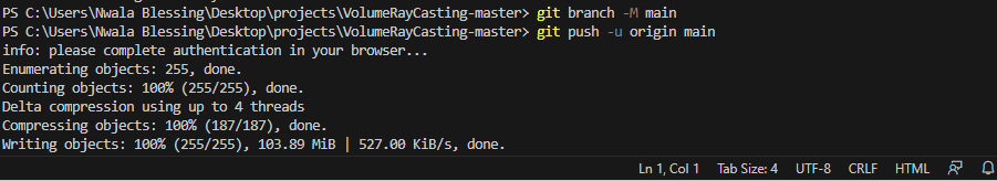 GitHub - nwalablessing/volumeray-casting-project