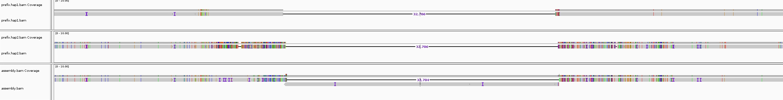 Uncollapsed assembly in heterozygous regions · Issue #492 · mikolmogorov/Flye · GitHub