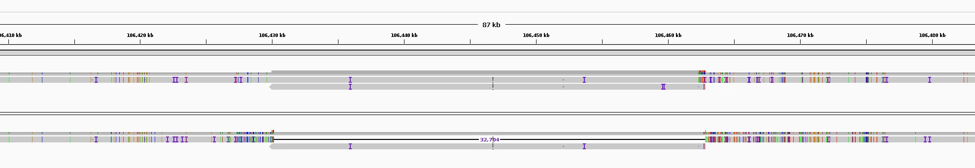 Uncollapsed assembly in heterozygous regions · Issue #492 ...