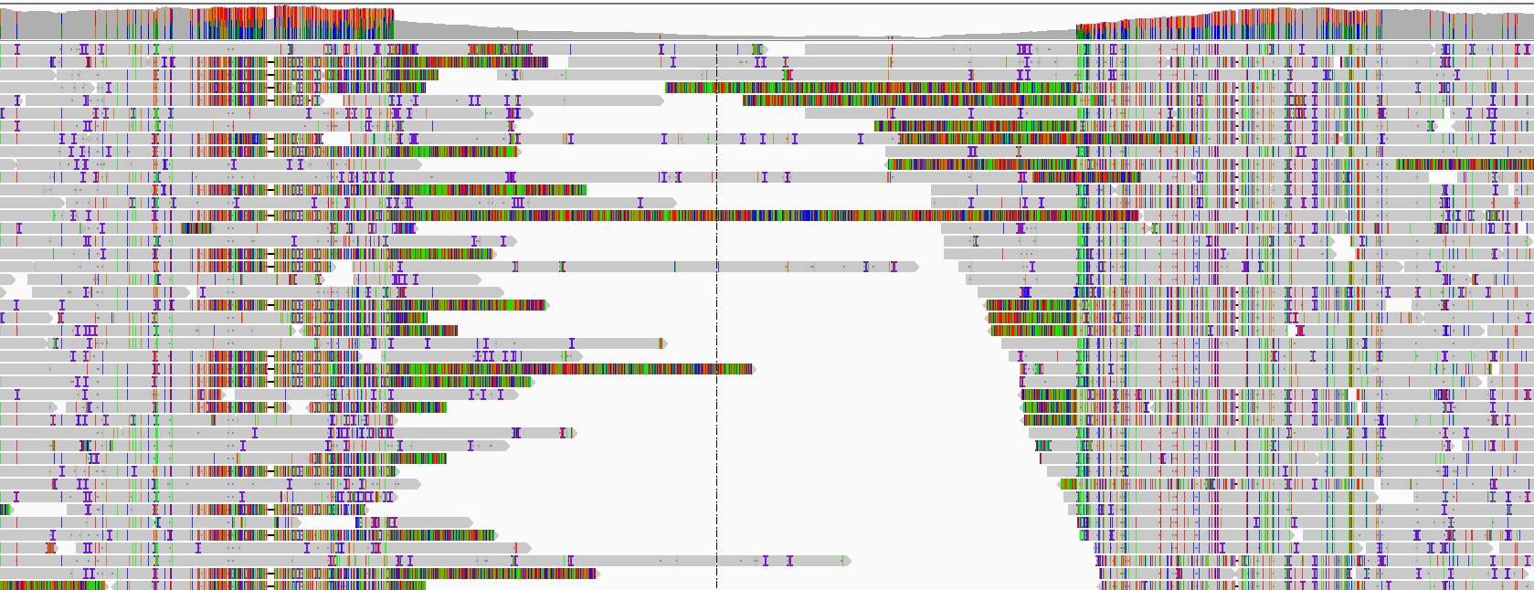 Uncollapsed assembly in heterozygous regions · Issue #492 · mikolmogorov/Flye · GitHub