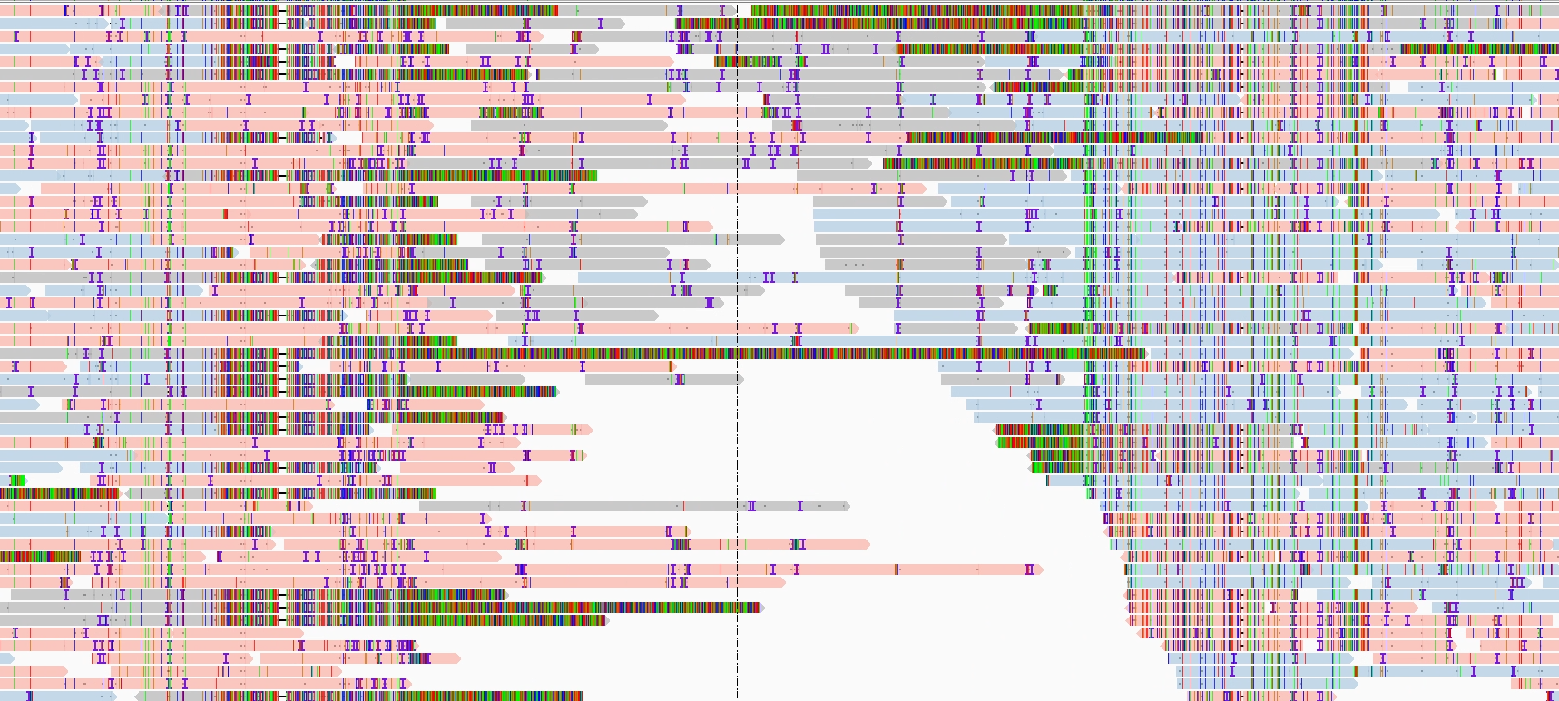 Uncollapsed assembly in heterozygous regions · Issue #492 ...