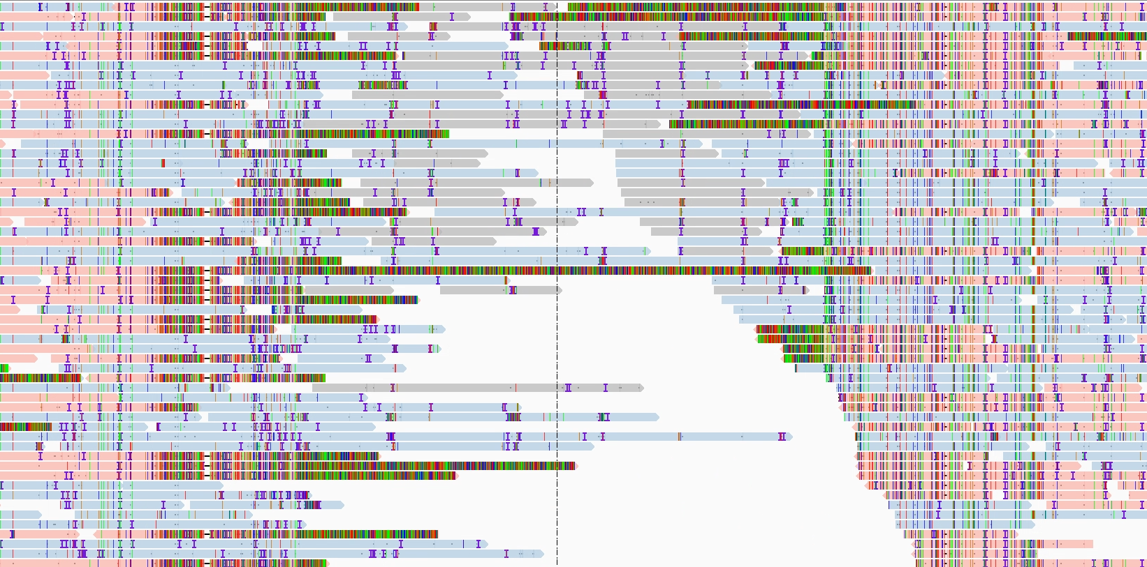 Uncollapsed assembly in heterozygous regions · Issue #492 · mikolmogorov/Flye · GitHub