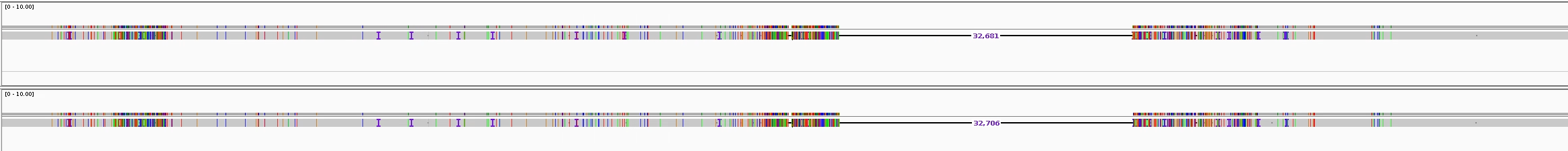 Uncollapsed assembly in heterozygous regions · Issue #492 ...