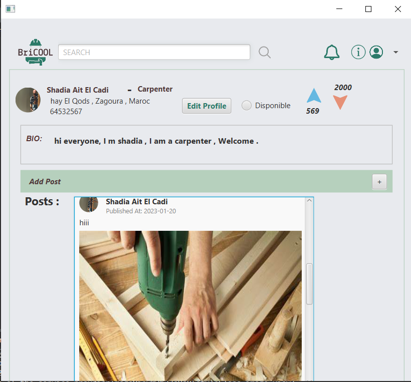 GitHub - ShadiaAITELCADI/BriCool