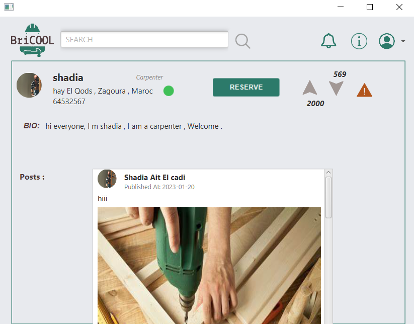 GitHub - ShadiaAITELCADI/BriCool
