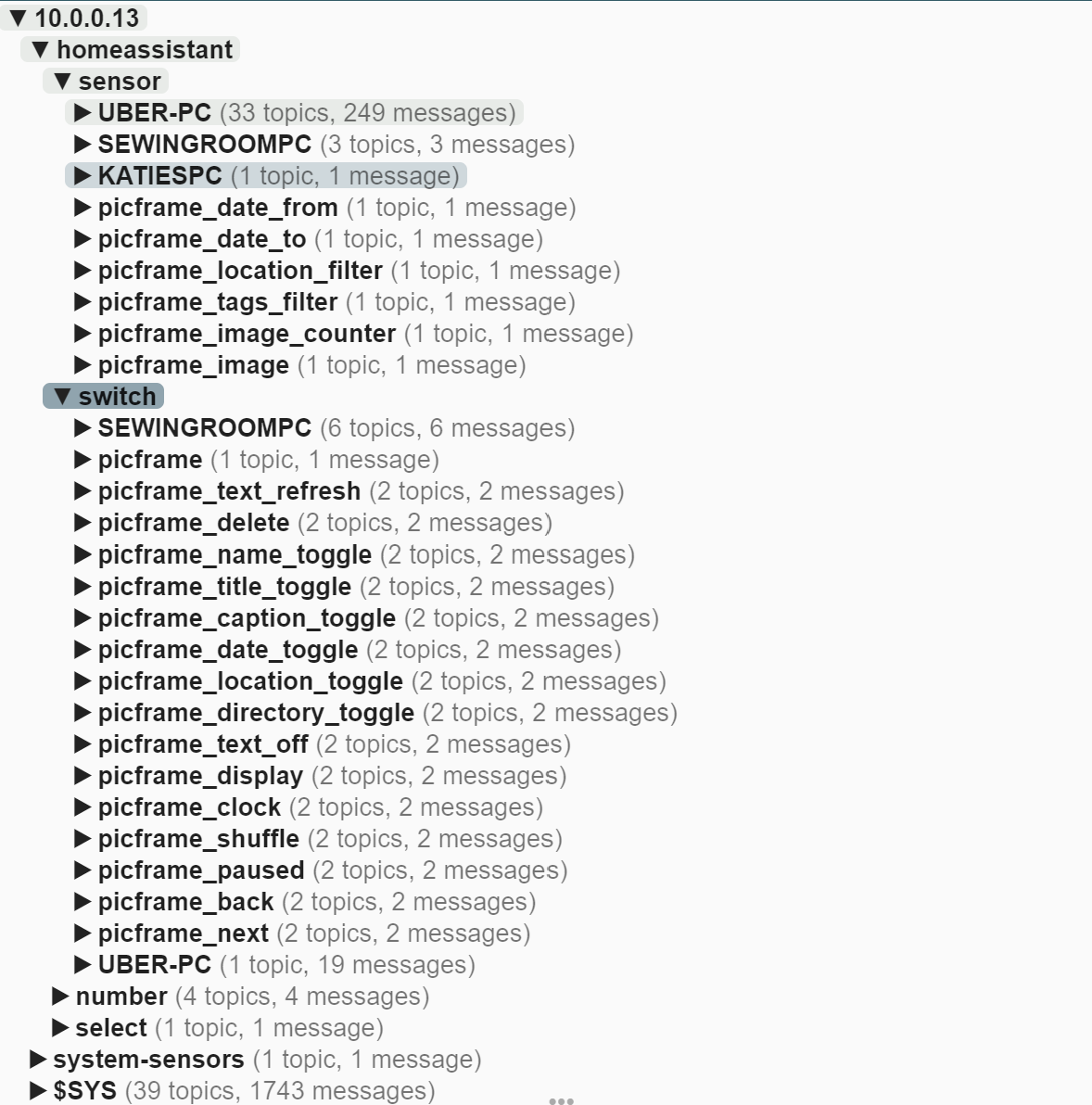 Some MQTT values not appearing? · Issue #276 · helgeerbe/picframe · GitHub