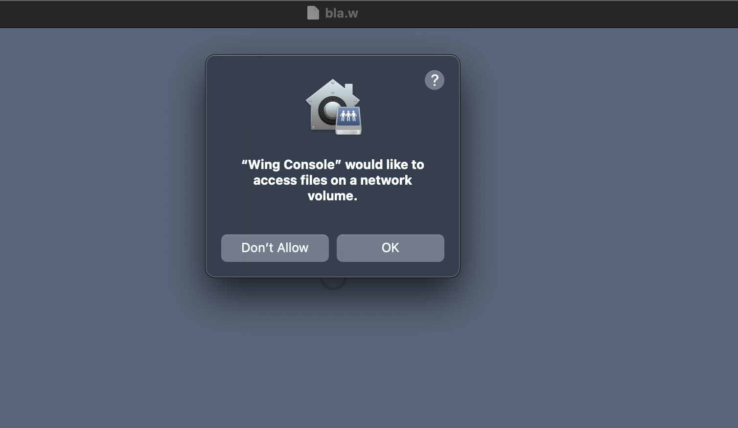 `wing` cli requests access to a network volume? · Issue #2370 · winglang/wing · GitHub