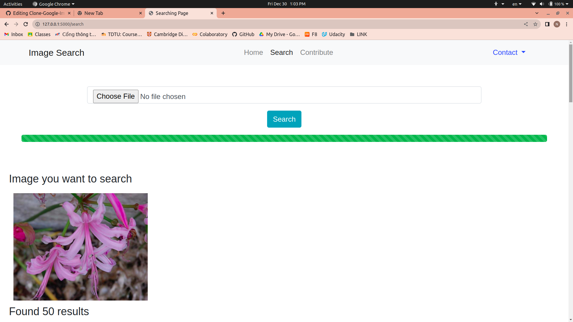 GitHub - anh-nt24/Clone-Google-Image-Search