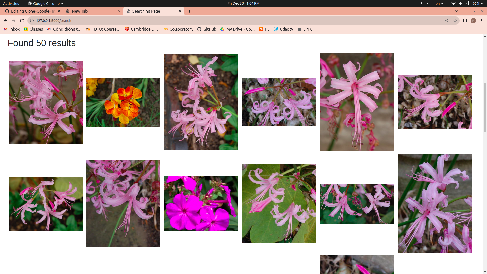 GitHub - anh-nt24/Clone-Google-Image-Search