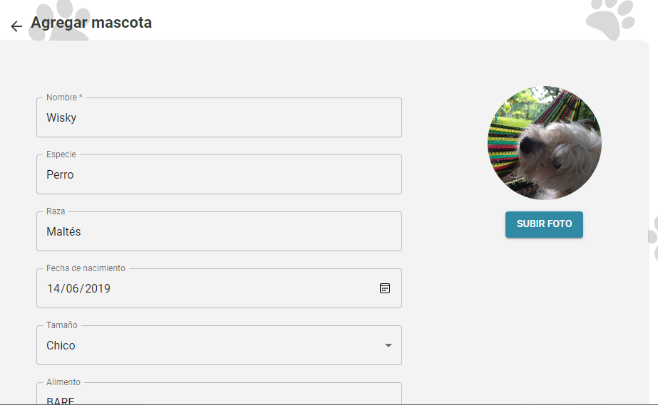 GitHub - Kodemia-global-pet/Global-pet-frontend